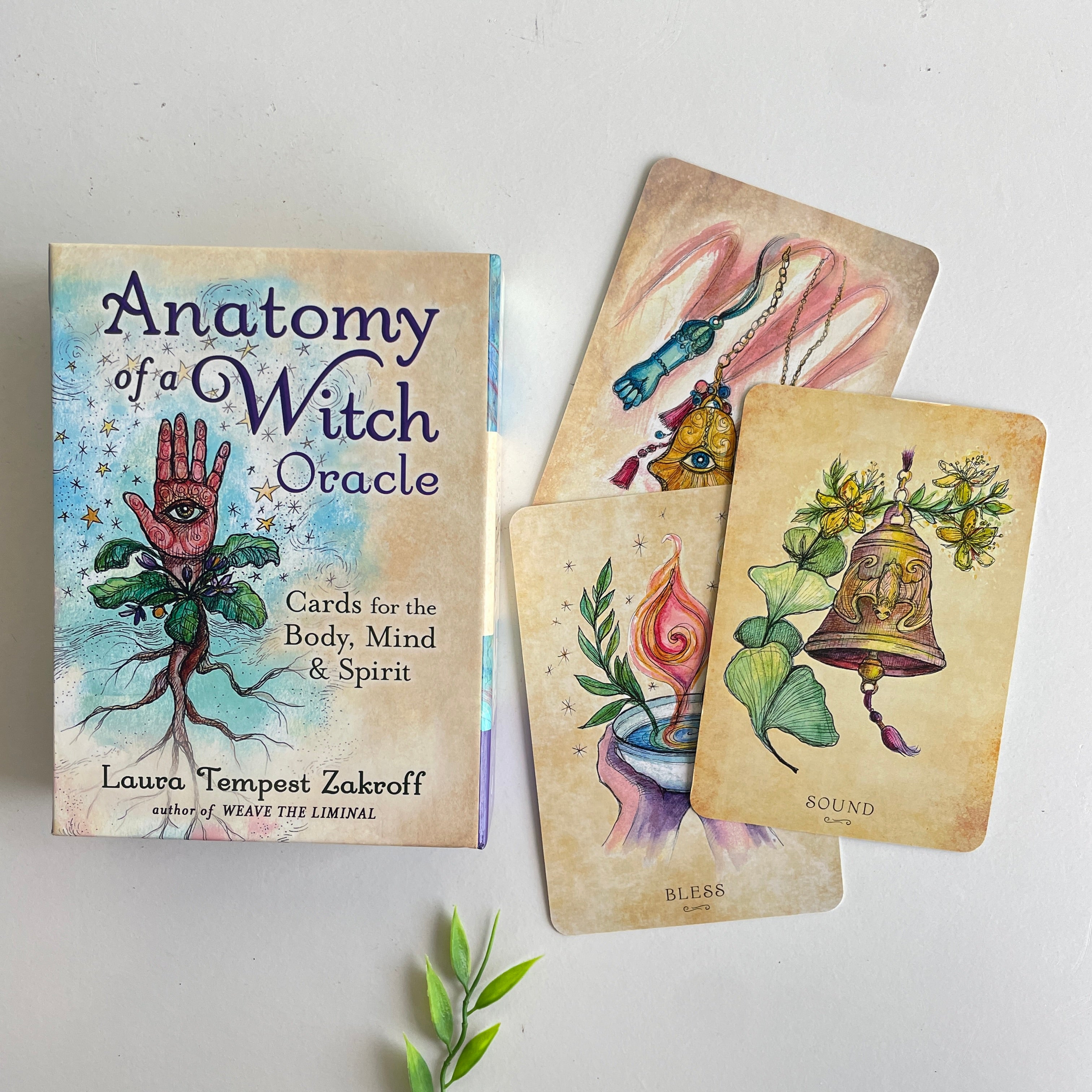 Anatomy Of A Witch Oracle Laura Tempest Zakroff Preah Ko Maitland