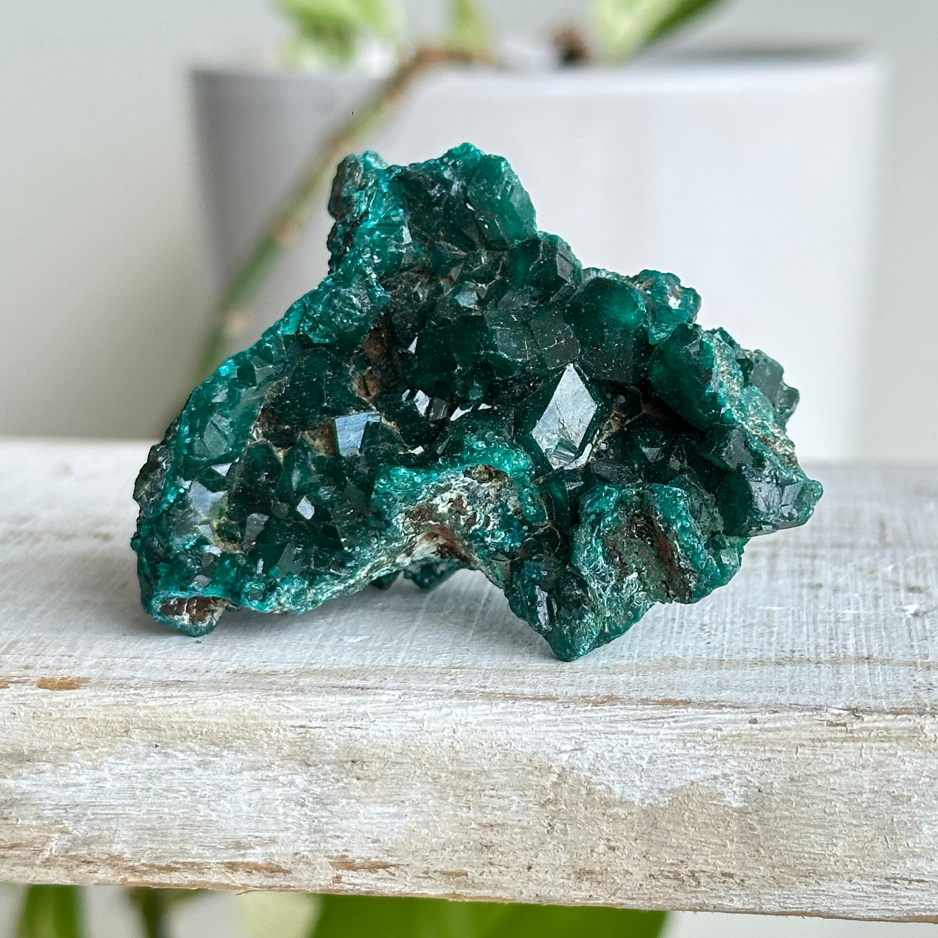 Dioptase Pce 56g – Preah Ko Maitland