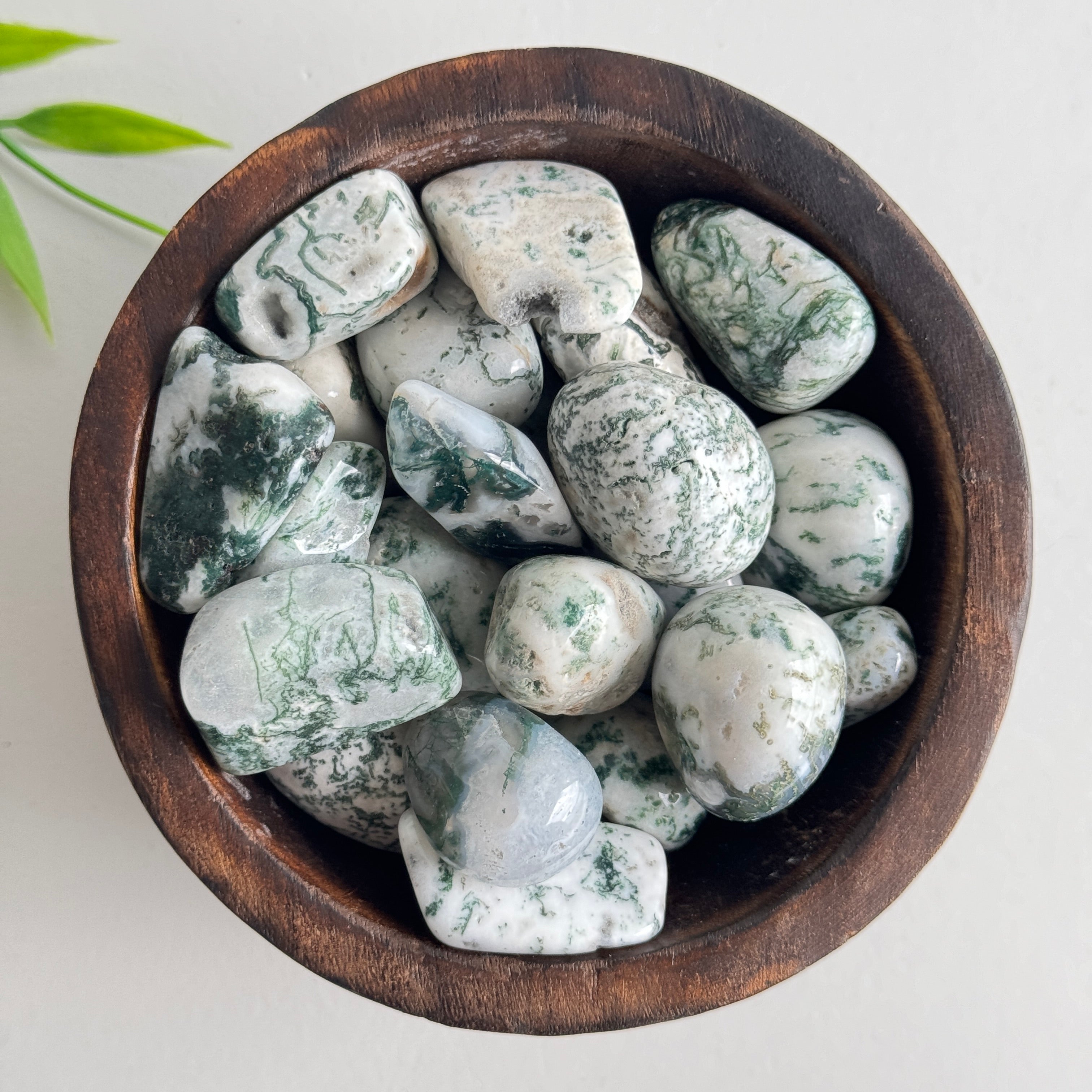 Tree Agate Tumble – Preah Ko Maitland