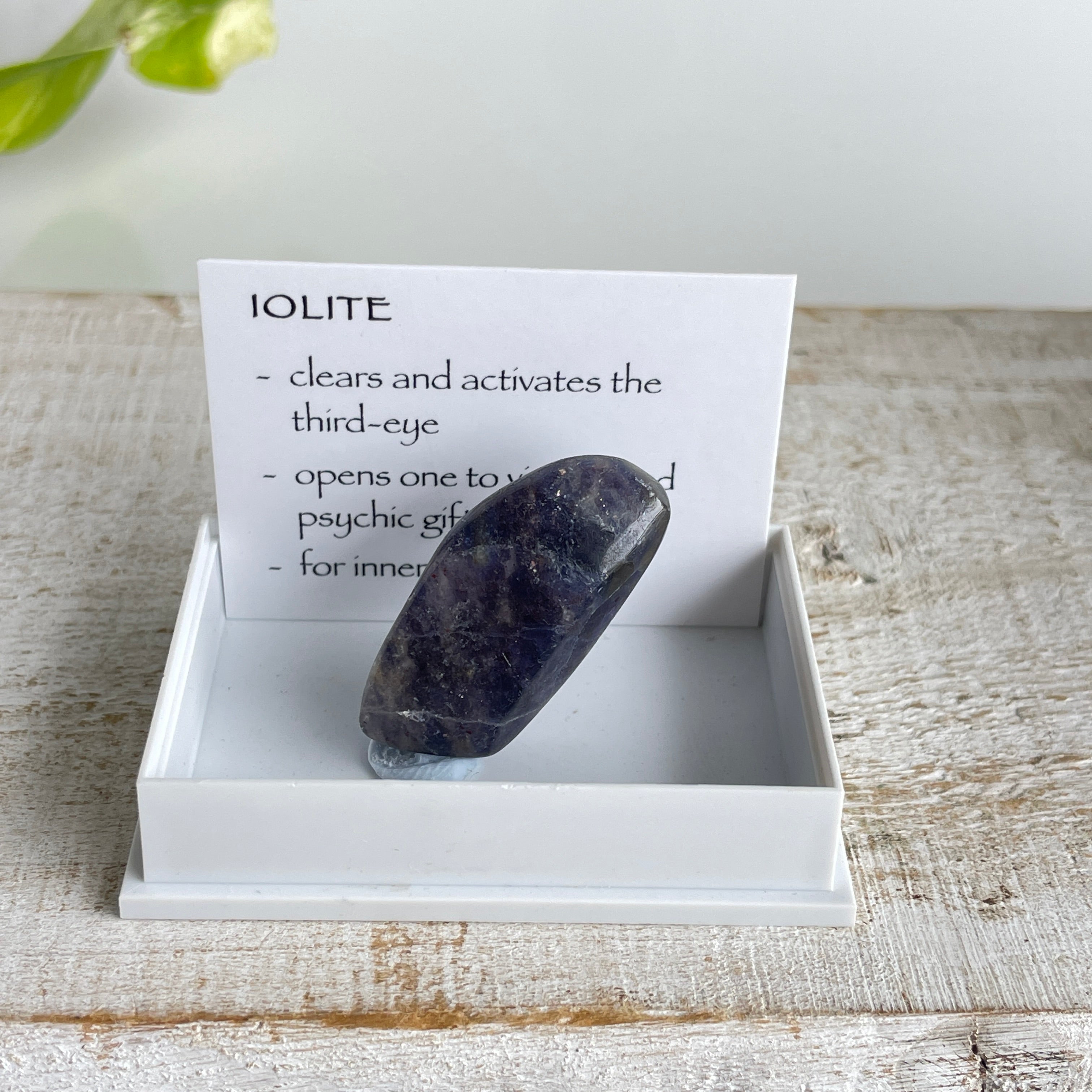 Iolite Specimen 001 – Preah Ko Maitland