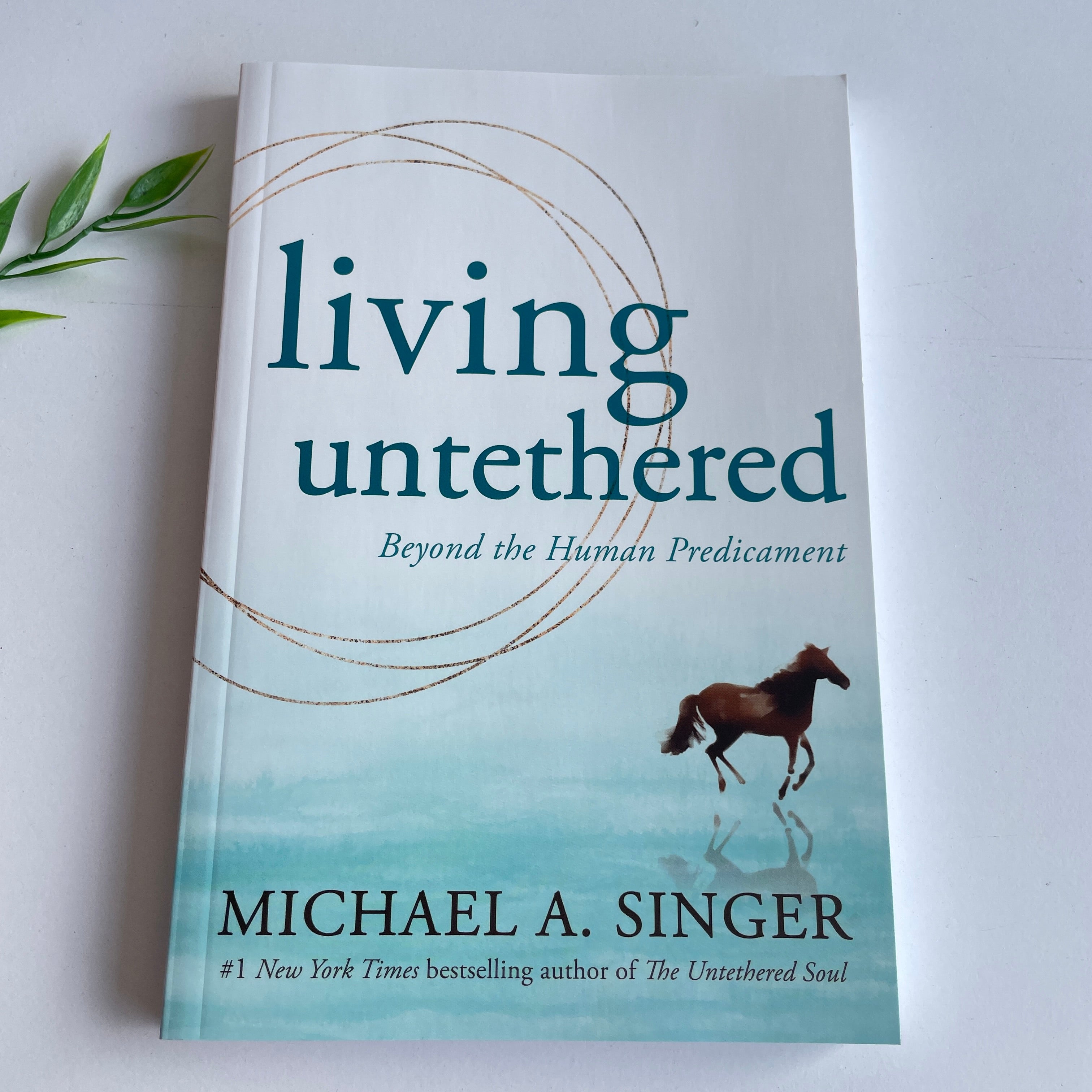 Living Untethered Michael Singer – Preah Ko Maitland