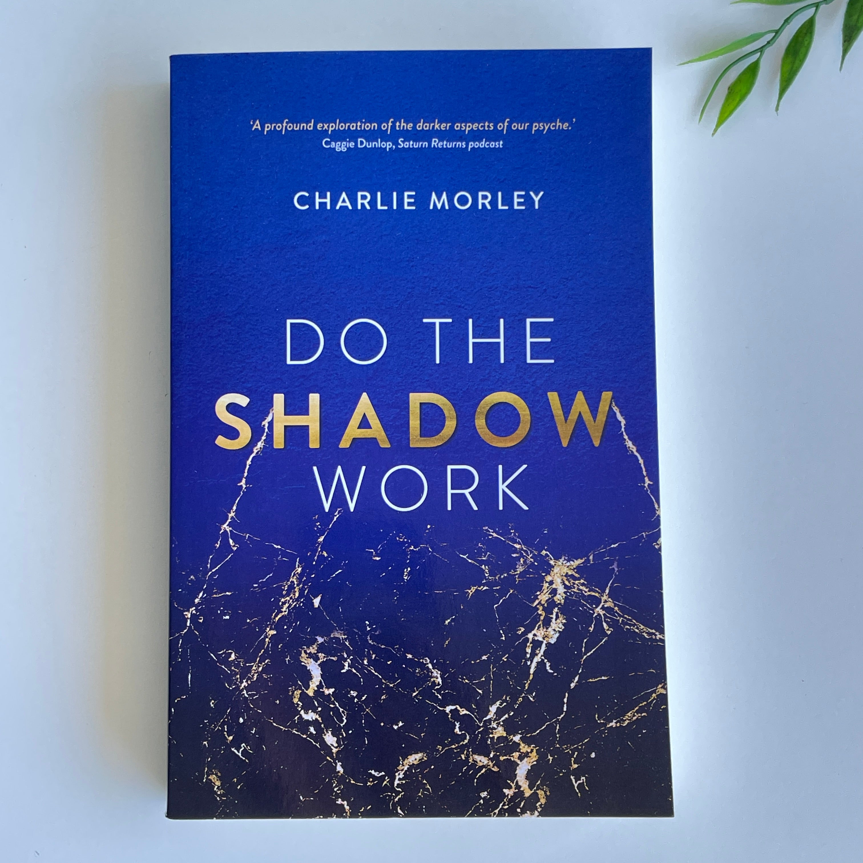 Do The Shadow Work Charlie Morley – Preah Ko Maitland
