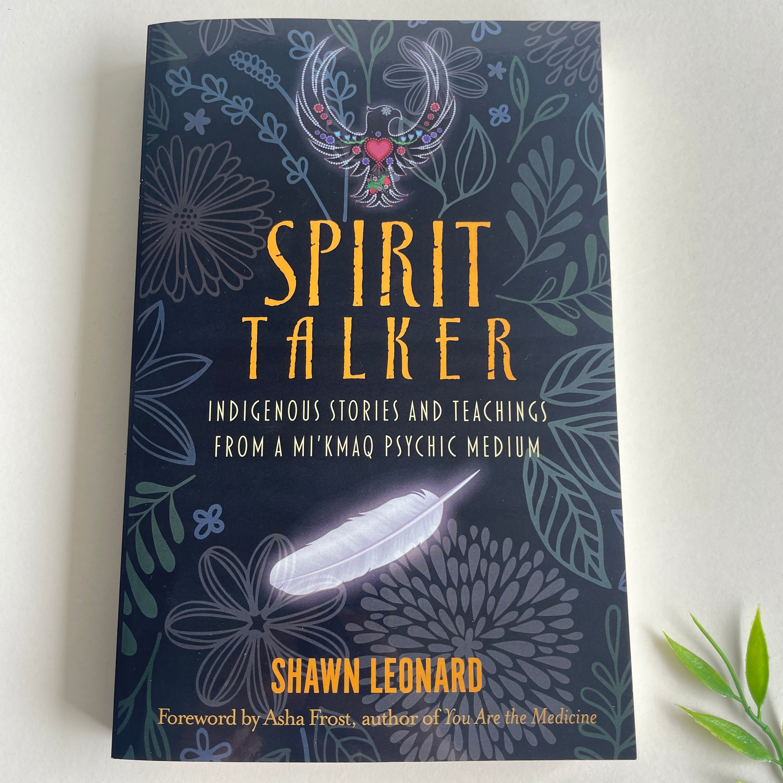 Spirit Talker Shawn Leonard – Preah Ko Maitland