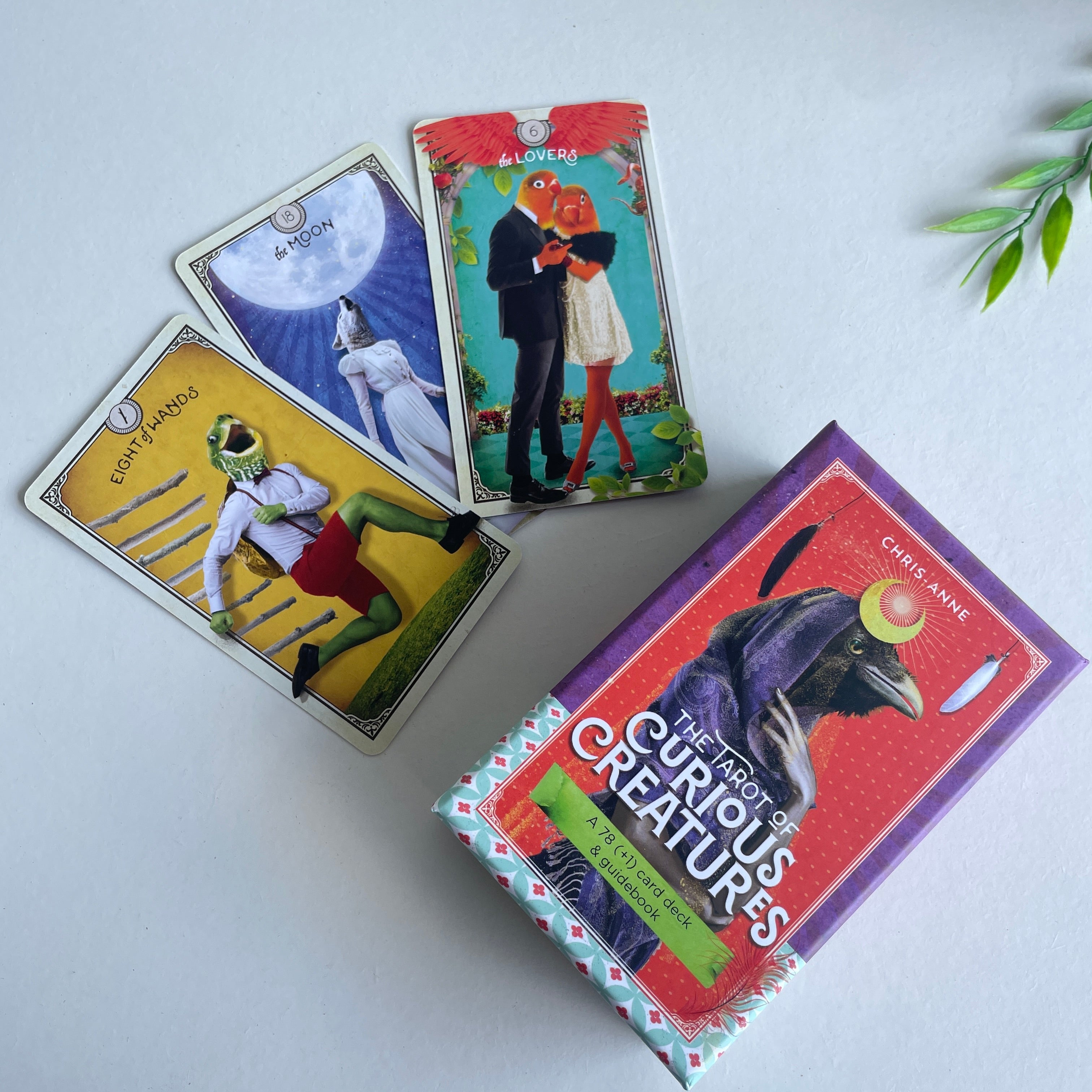 Tarot Of Curious Creatures Chris Anne – Preah Ko Maitland