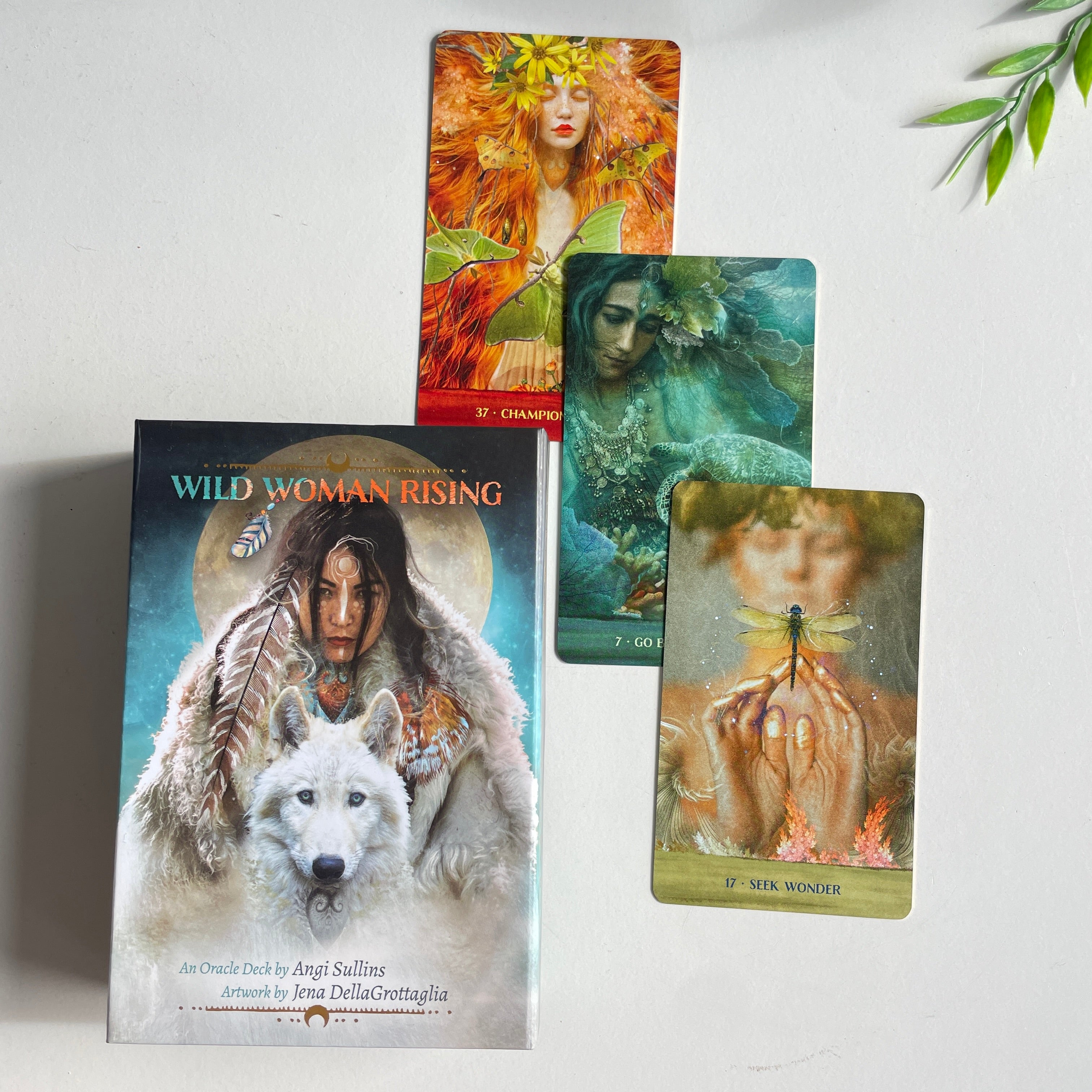 Wild Woman Rising Oracle Cards Angi Sullins – Preah Ko Maitland