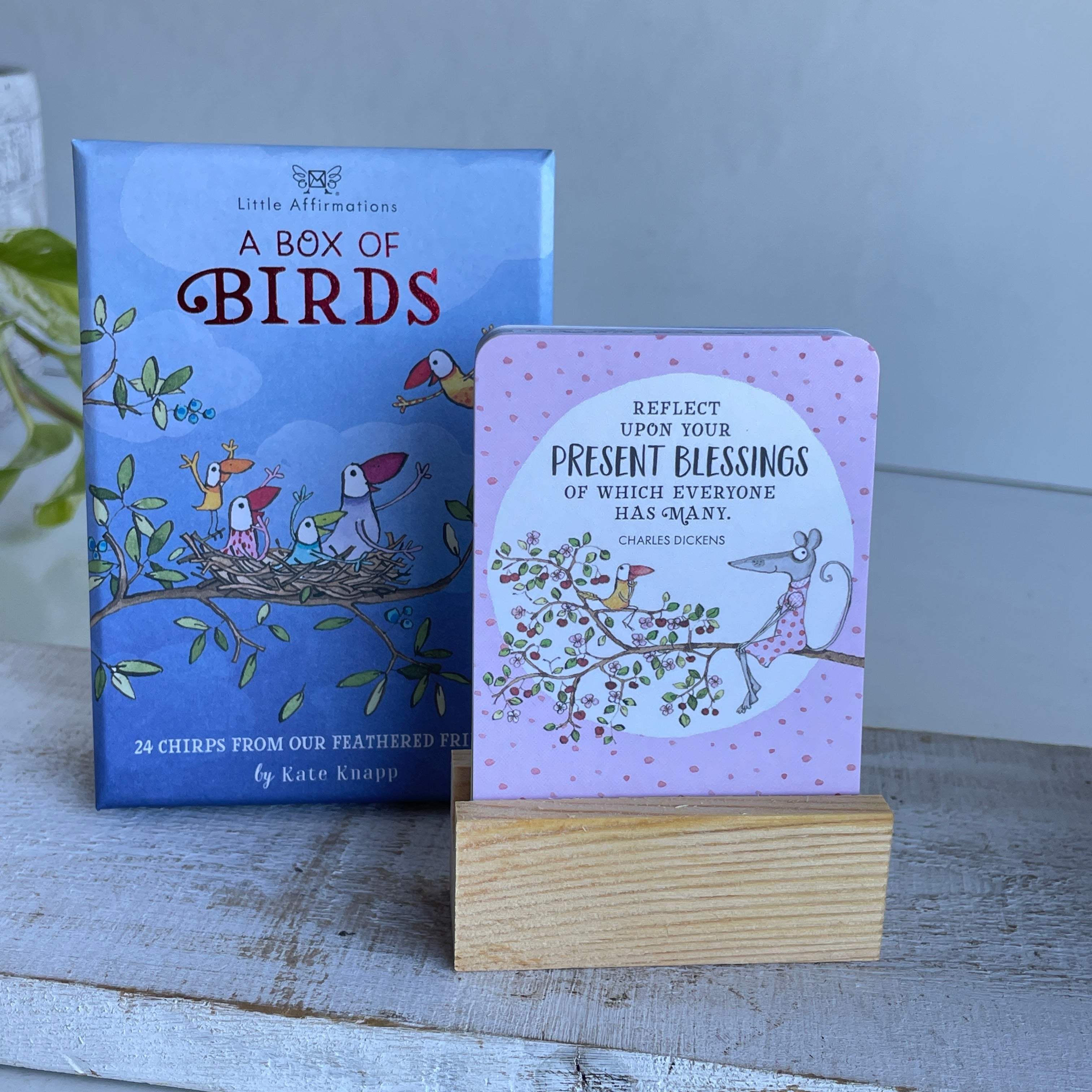 Box Birds Affirmation Cards – Preah Ko Maitland