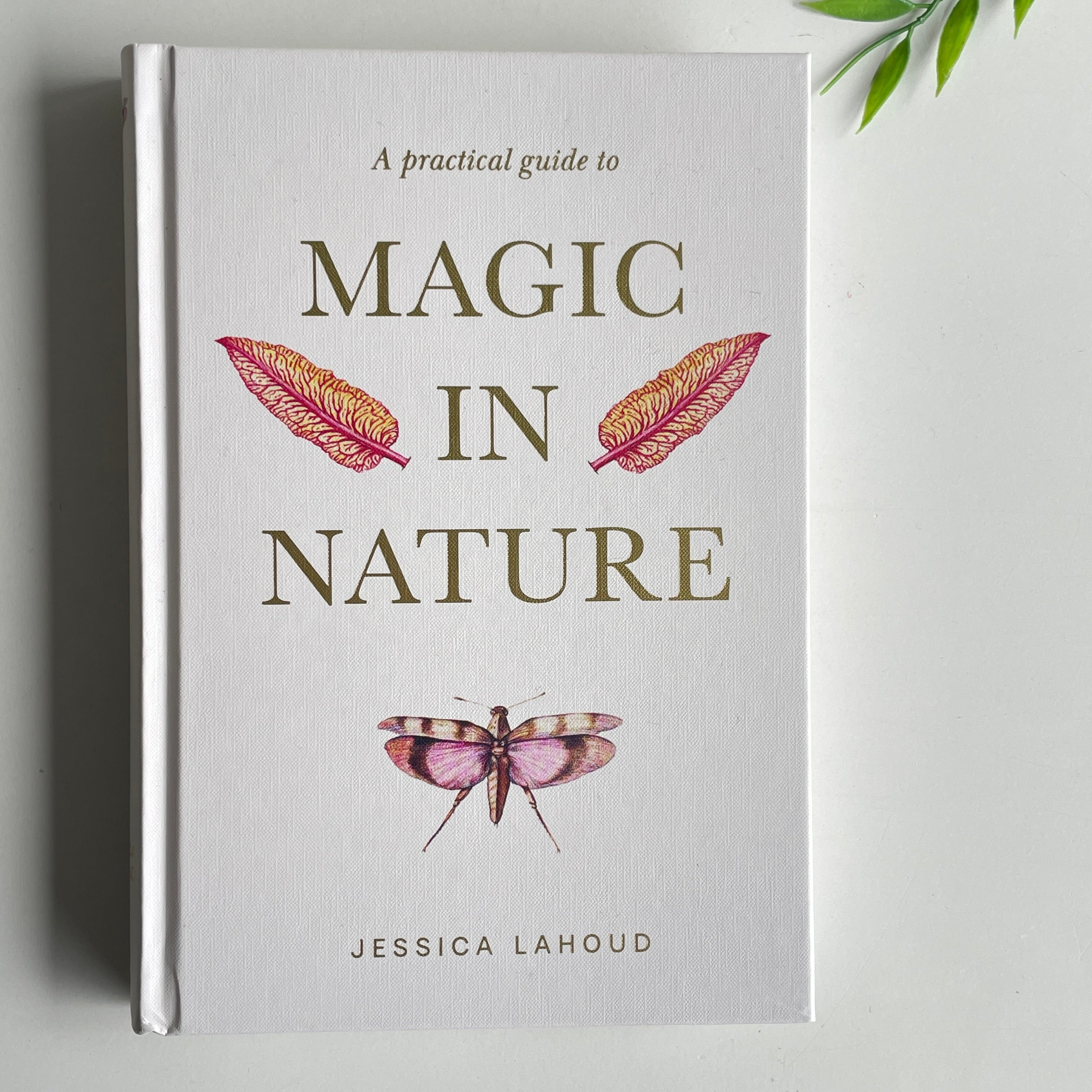 Magic In Nature Jessica Lahoud – Preah Ko Maitland
