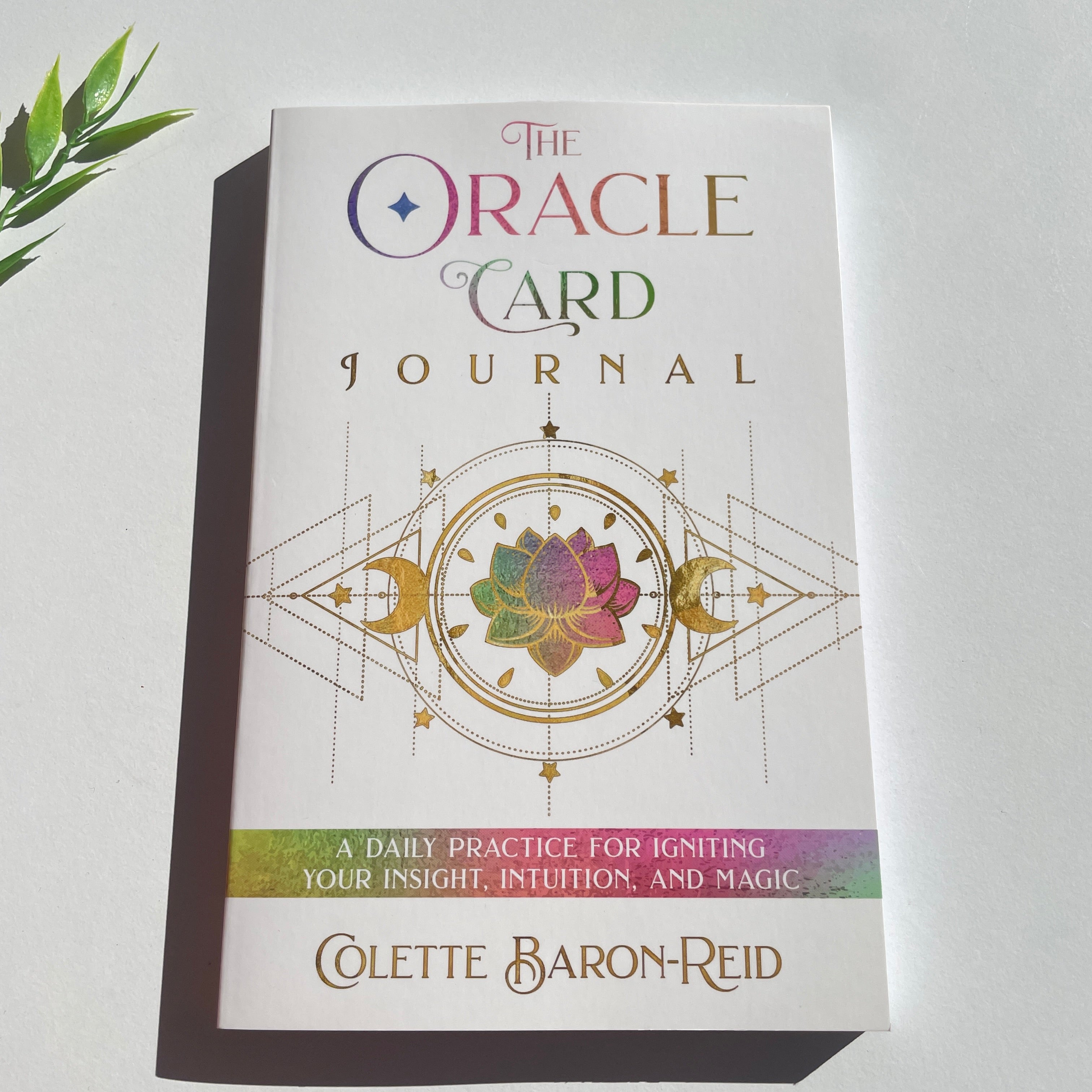 The Oracle Card Journal Collette Baron Reid – Preah Ko Maitland