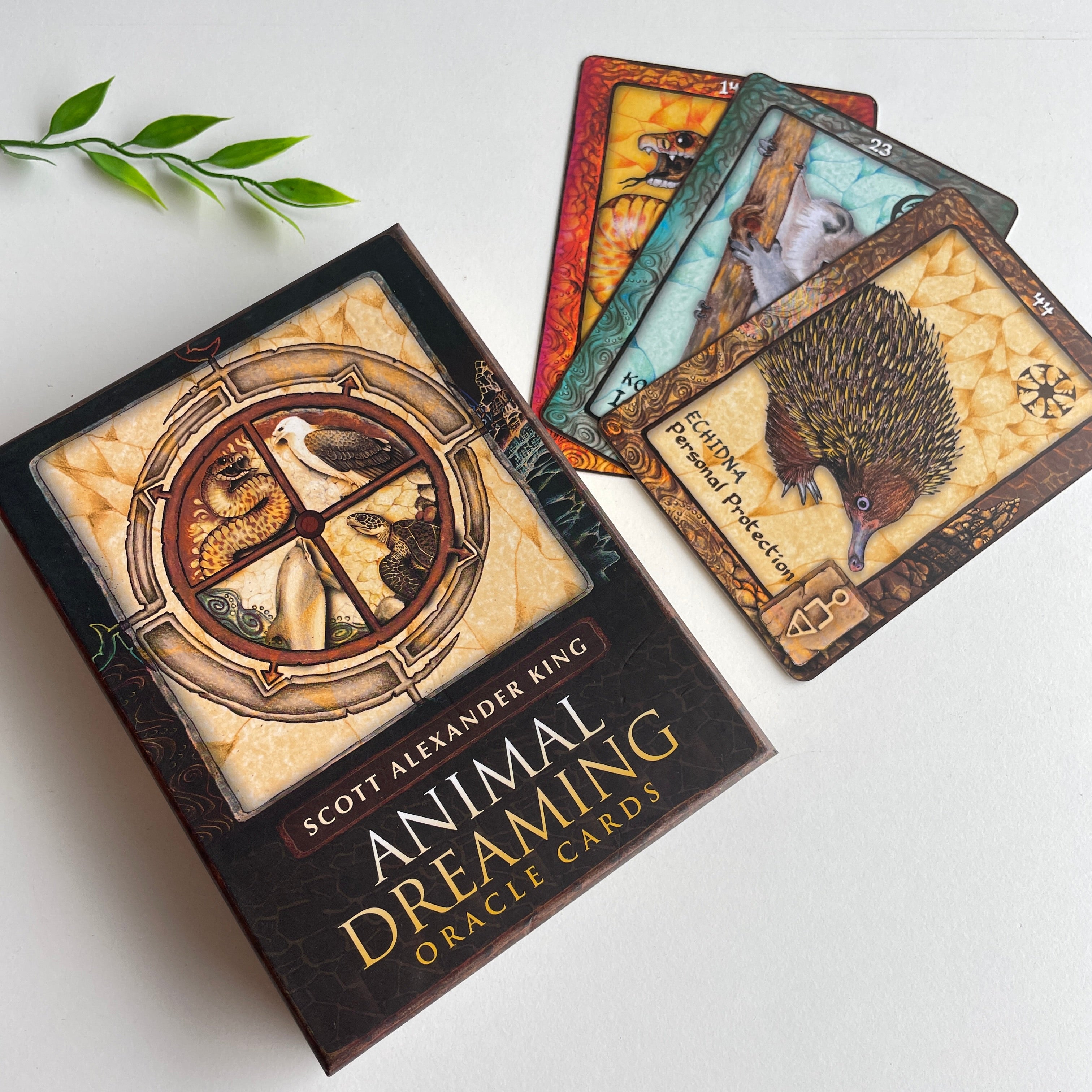 Animal Dreaming Oracle Cards Scott King – Preah Ko Maitland