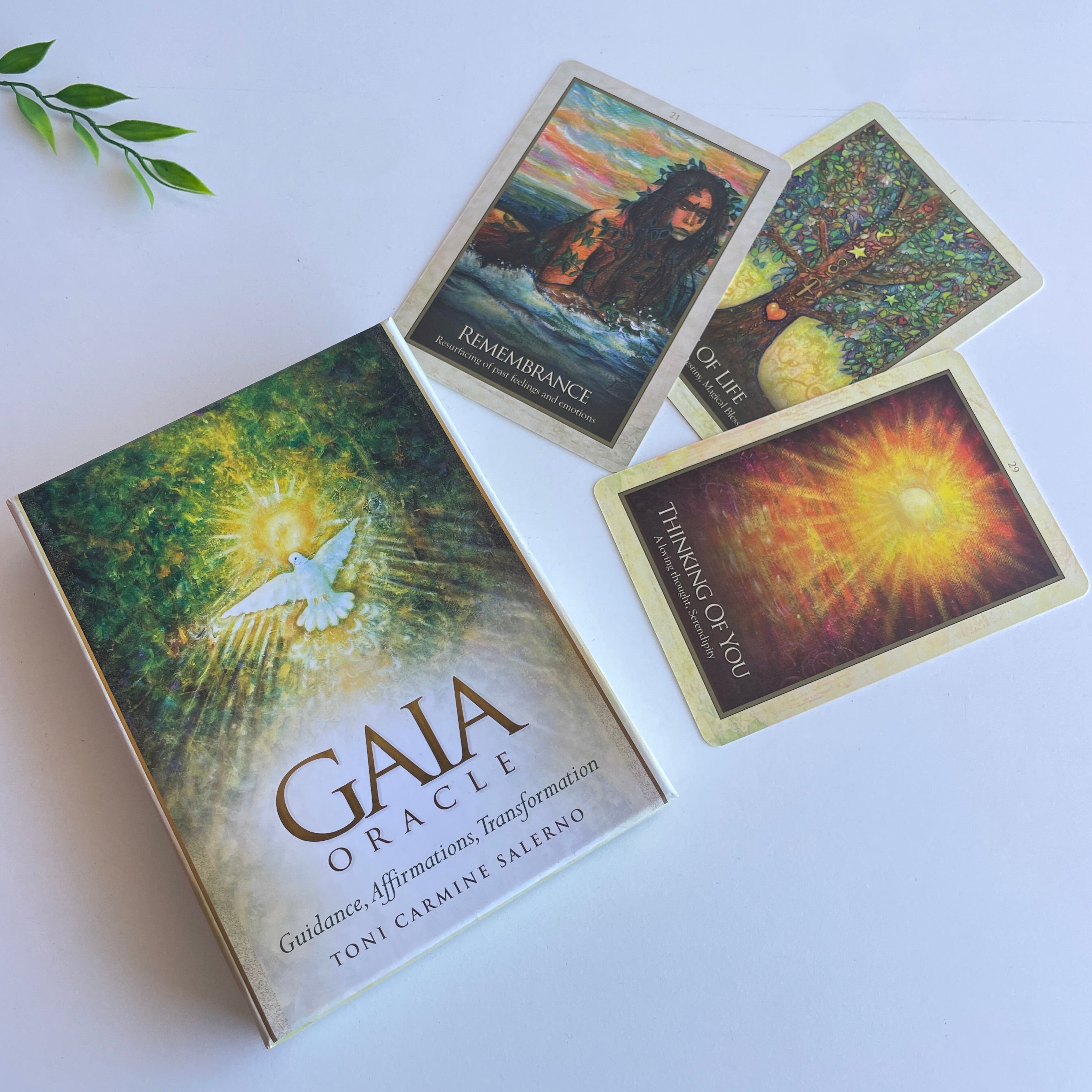 Gaia Oracle Cards Toni Salerno – Preah Ko Maitland