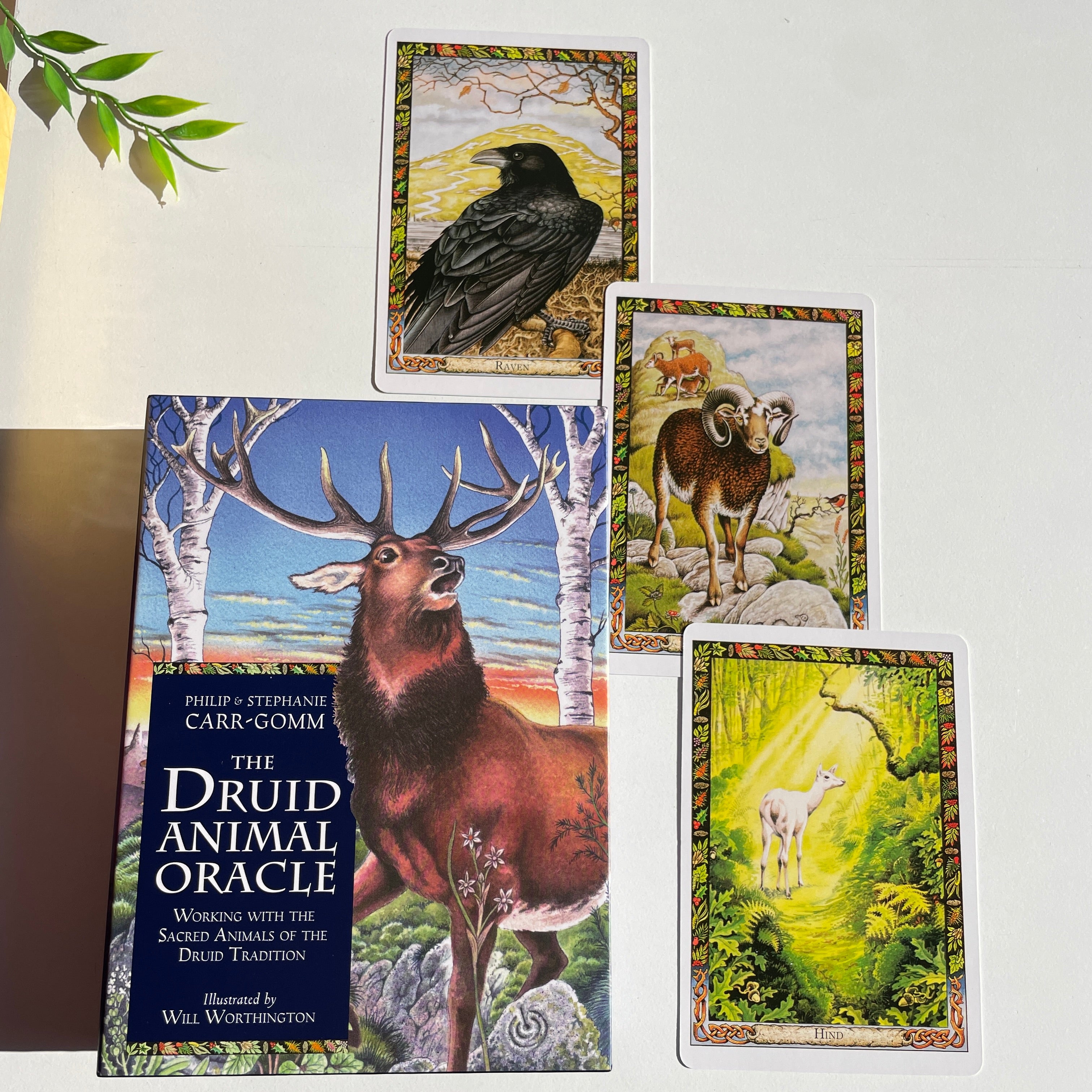 The Druid Animal Oracle Carr-Gomm – Preah Ko Maitland